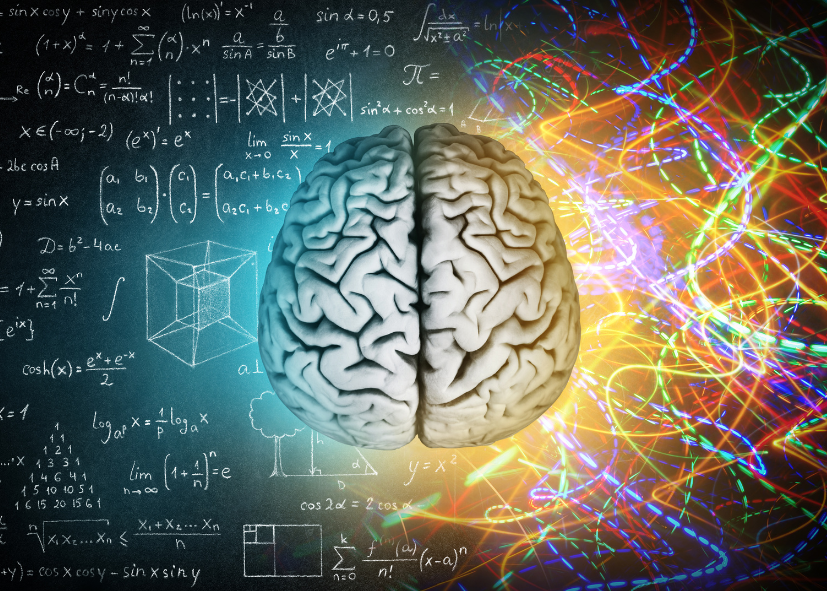 Mastering Executive Function: A Comprehensive Guide